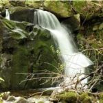Tan y Coed, Snowdonia – Luxury self-catering in the heart of the Welsh ...